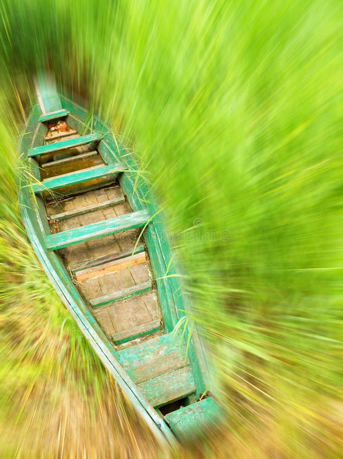 Boat in a high cane stock photo. Image of nature, calm - 35699644