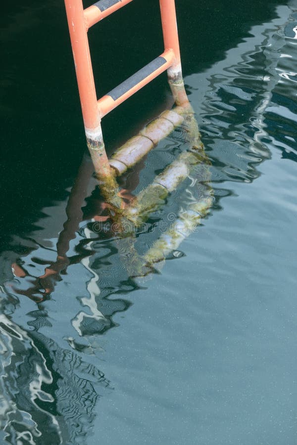 Ladder Off the Back of a Boat Stock Photo - Image of fishing, buoy ...