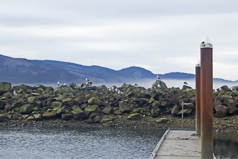 Boat Launch Dock on Bay with Birds Stock Image - Image of mist, gulls ...