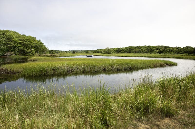 Boat on marsh or wetland stock image. Image of marsh - 17594957