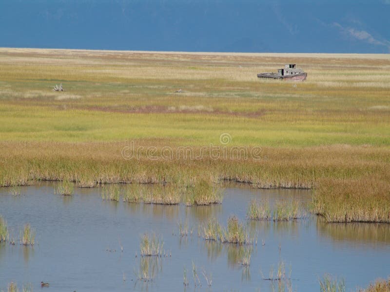 Boat on marsh or wetland stock image. Image of marsh - 17594957