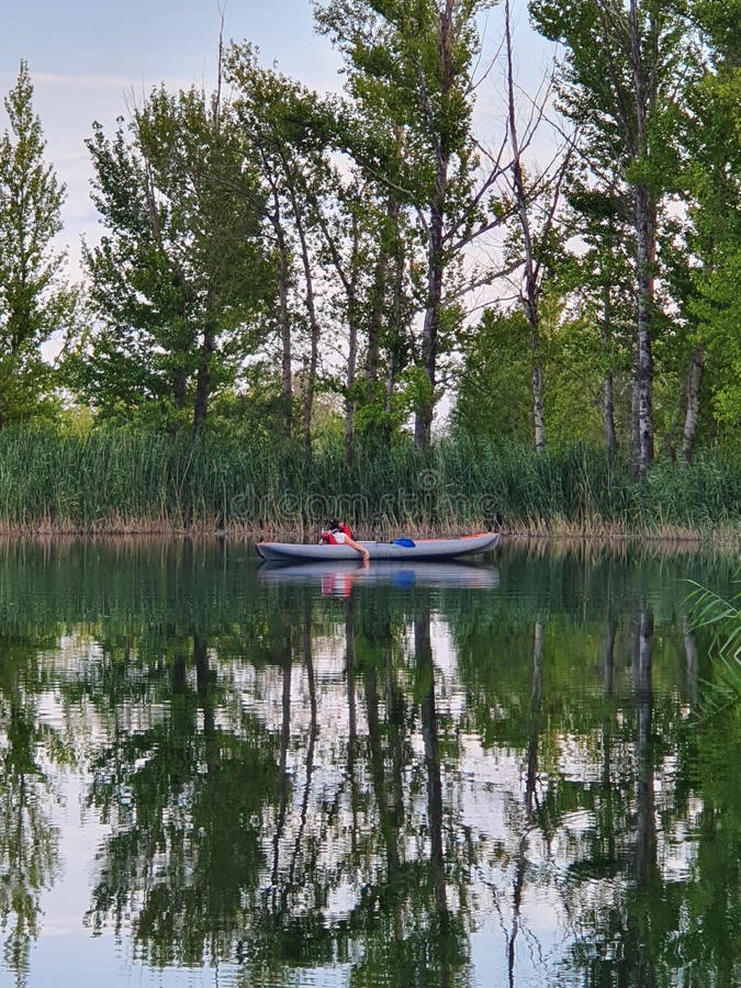 Boat, nature, lake stock image. Image of water, boat - 194442325