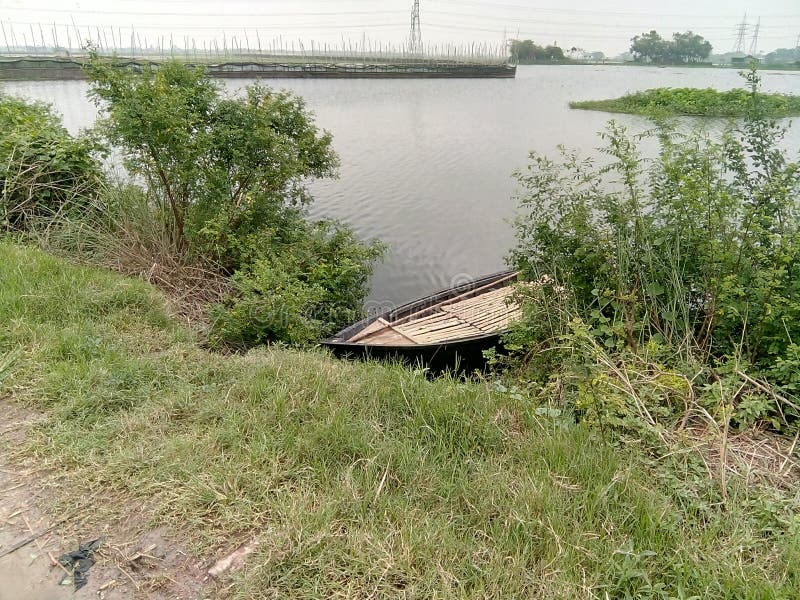The boat stock photo. Image of boat, looks, nice, green - 95667734
