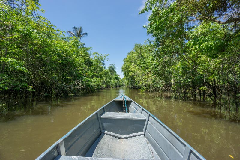Boat Over Canal in Rio Negro, Amazon River, Brazil Stock Image - Image ...