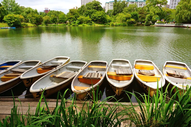 Boat in park stock photo. Image of outdoors, forest, outdoor - 44846058