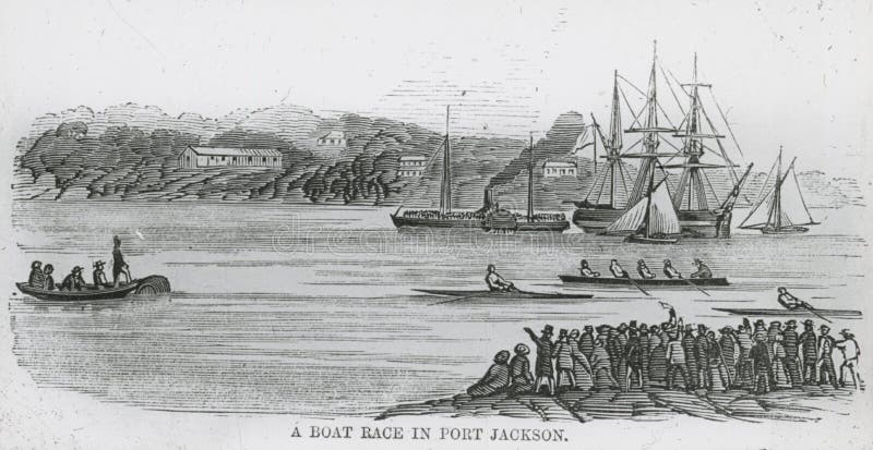 Boat Race In Port Jackson Picture. Image: 222382049