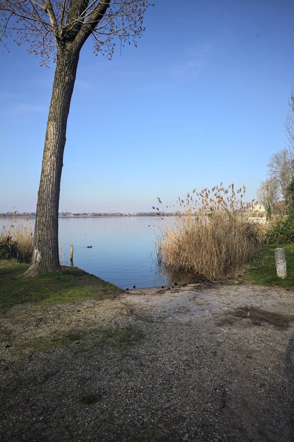 Boat ramp in a park stock photo. Image of holiday, coastline - 314218656