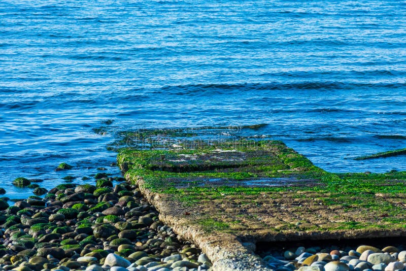 Boat Ramp on Whidbey Island Beach Stock Image - Image of level ...