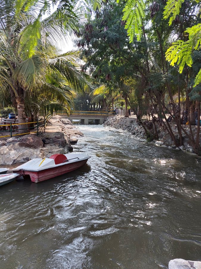 Boat Ride at a High Speed Stream Stock Image - Image of speed, ride ...