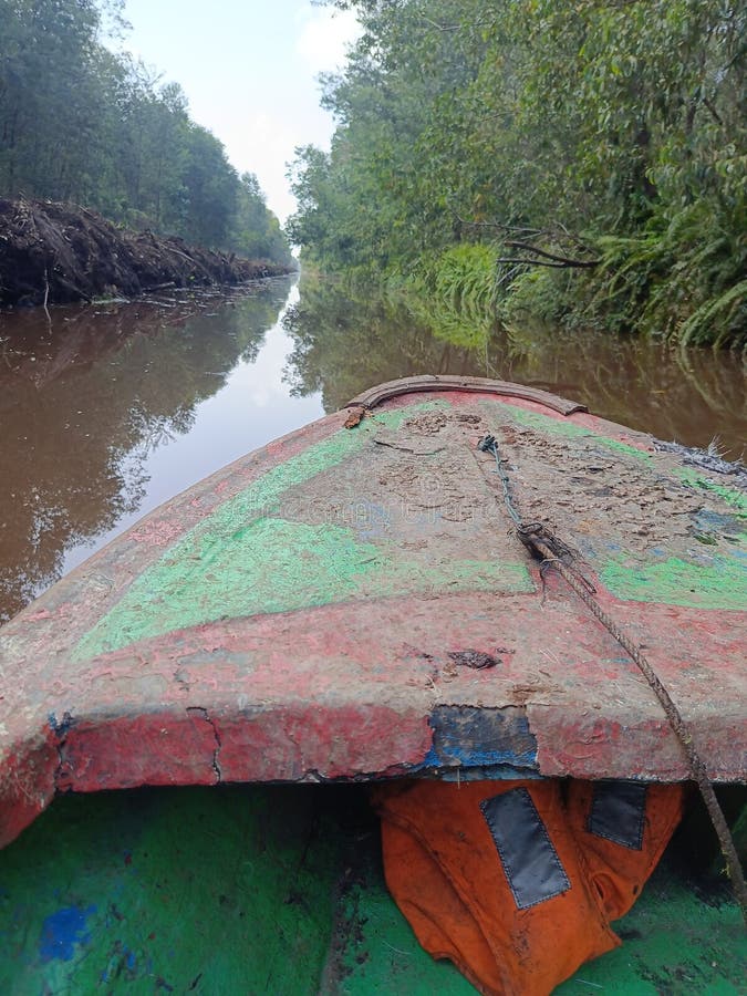 Boat in River Amazon Forest Stock Image - Image of boat, rainy: 328591995