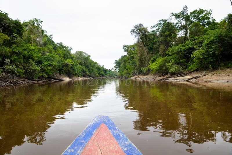 Boat in River in Amazon Jungle Stock Image - Image of river, background ...