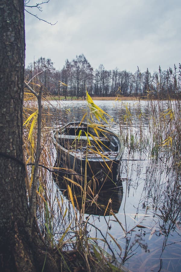 Boat on the River, Lake. a Boat with Oars. Stock Image - Image of ...