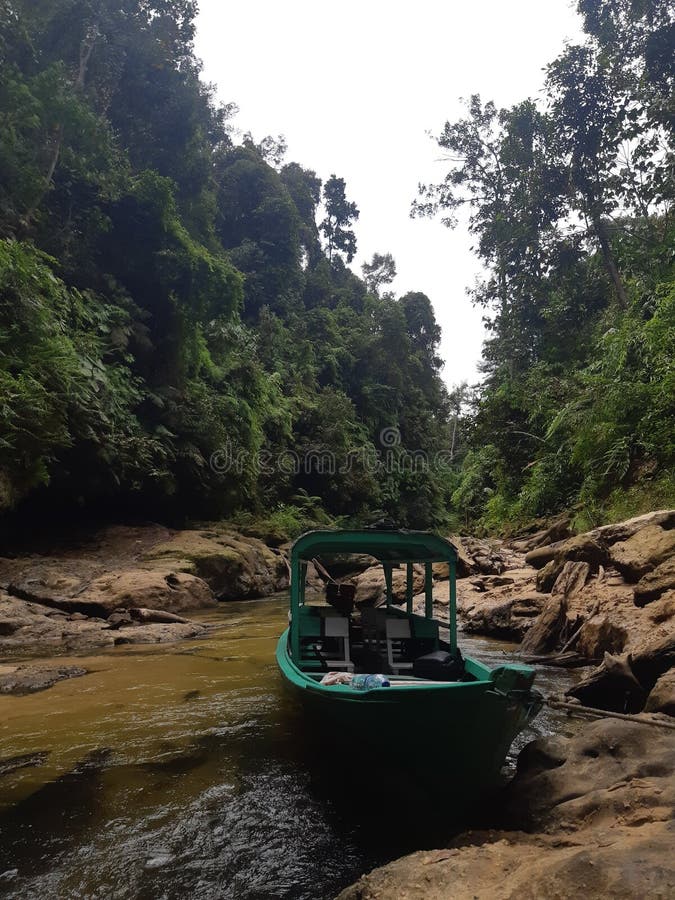 Boat on the River in the Middle of a Green Forest Stock Image - Image ...