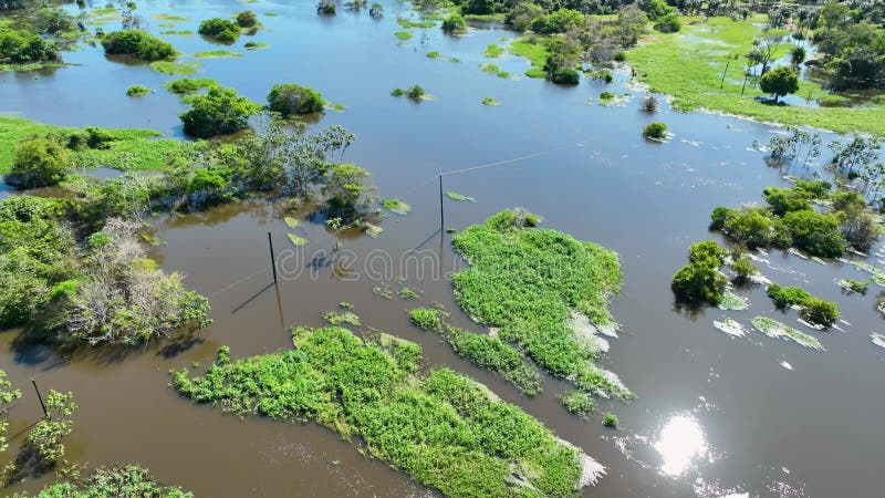 Boat Sailing at Amazon River at Amazon Rainforest. Manaus Brazil. Stock ...
