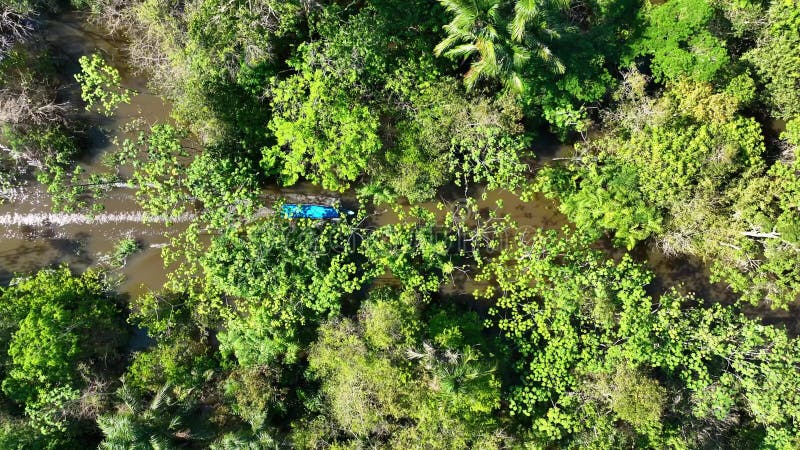 Boat Sailing at Amazon River at Amazon Rainforest. Manaus Brazil. Stock ...