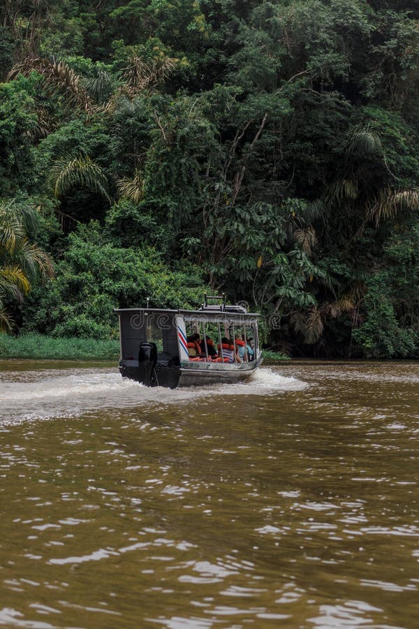 A Boat Sailing Down the River Surrounded by Vegetation Stock Photo - Image of province, river ...
