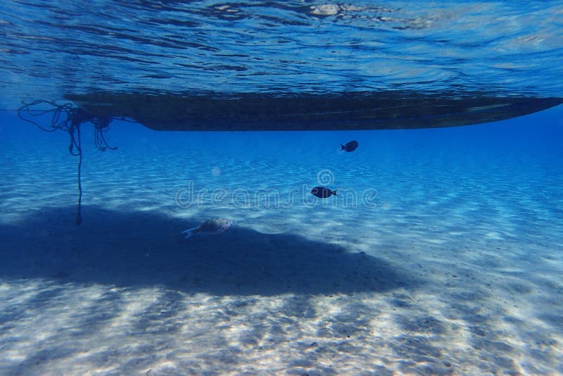 SCUBA Dive Boat with Row of Air Tank in Rear Platform View with Sea ...