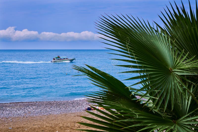 Boat on the Sea Near the Palm Tree. Stock Photo - Image of island ...