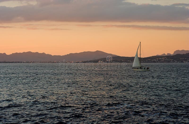 Boat on see stock photo. Image of palma, frond, relax - 5099360