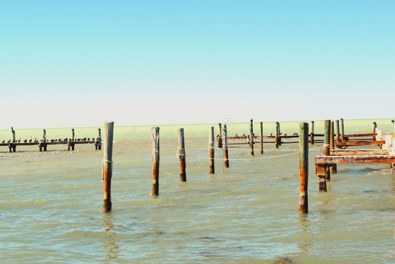 Boat Slips stock photo. Image of palm, slips, gazebo - 55953794