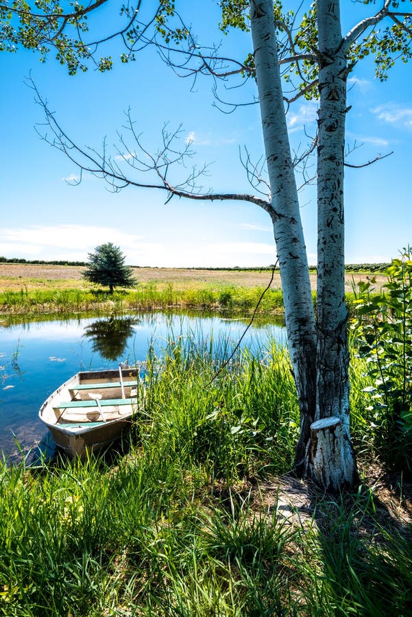Boat on a small Pond stock image. Image of tourism, beautiful - 214942755