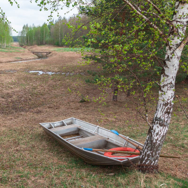 Boat in spring forest stock photo. Image of bright, russia - 50990230
