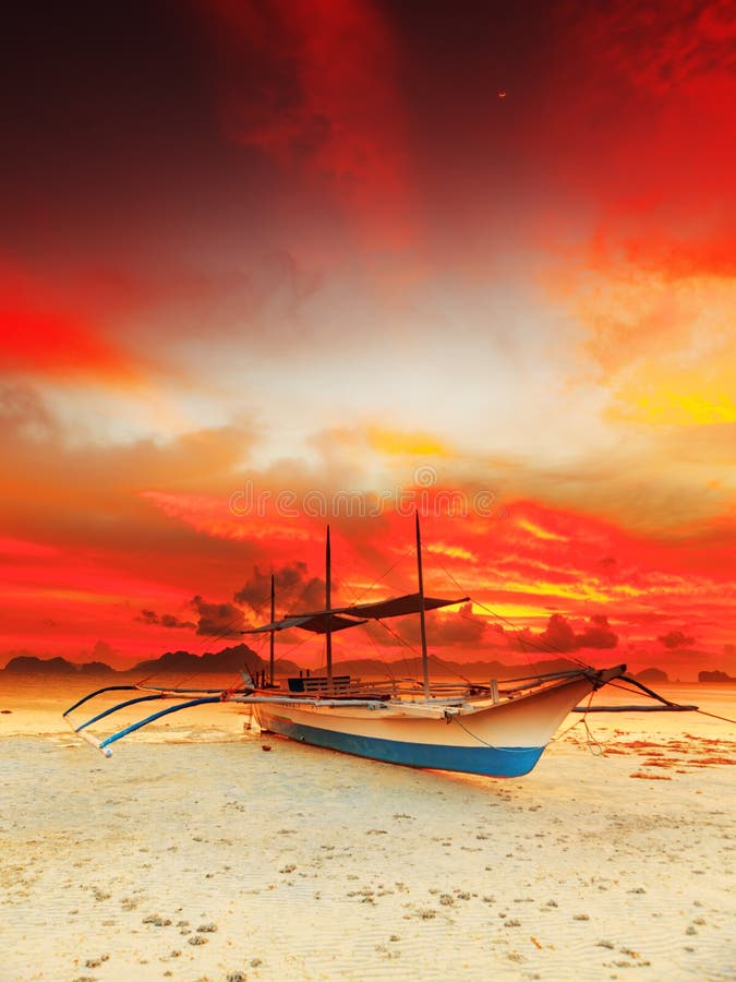 Yellow-eyed Penguins stock image. Image of marine, adorable - 24060231