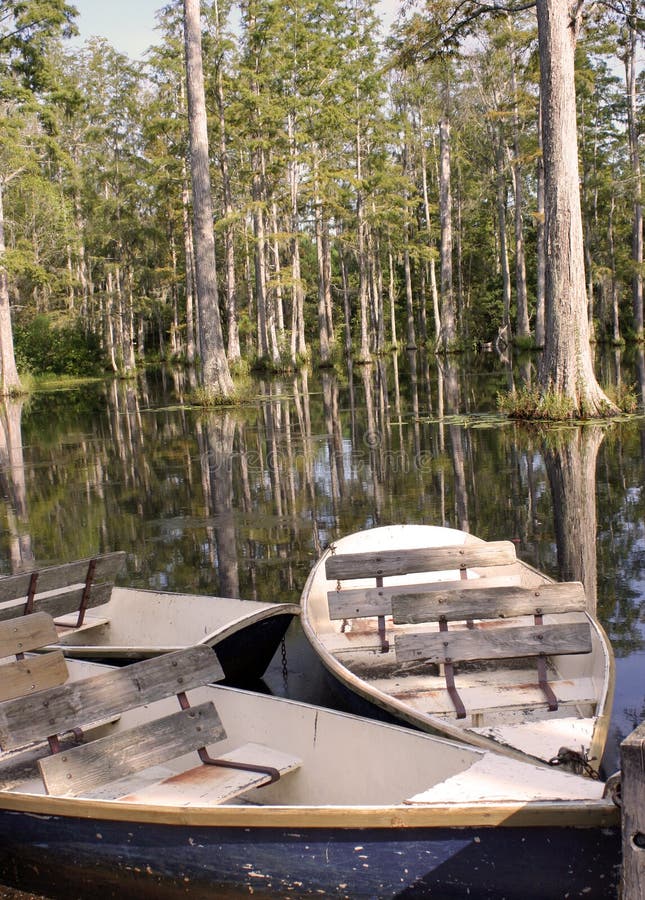 Boat On Cypress Swamp Gardens North Carolina Stock Image - Image of ...