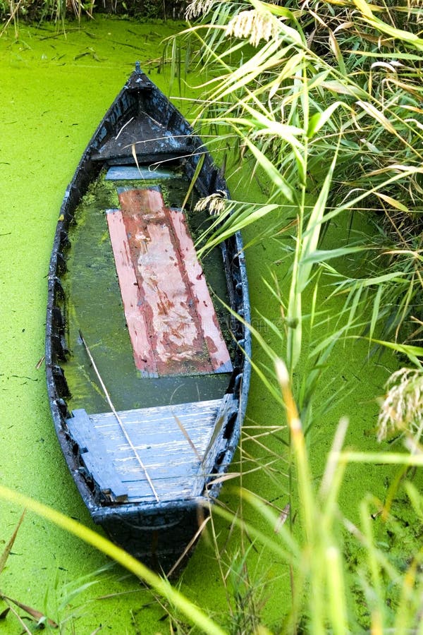 Boat in swamp stock photo. Image of daytime, algae, green - 5105994