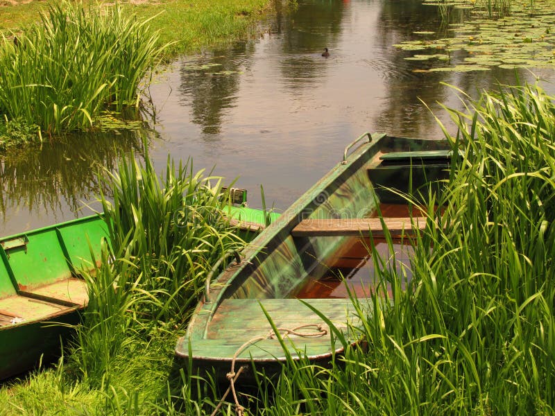 Boat in swamp stock photo. Image of daytime, algae, green - 5105994