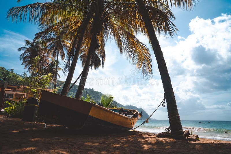 Boat Tied Under a Coconut Tree at a Tropical Beach Stock Photo - Image ...