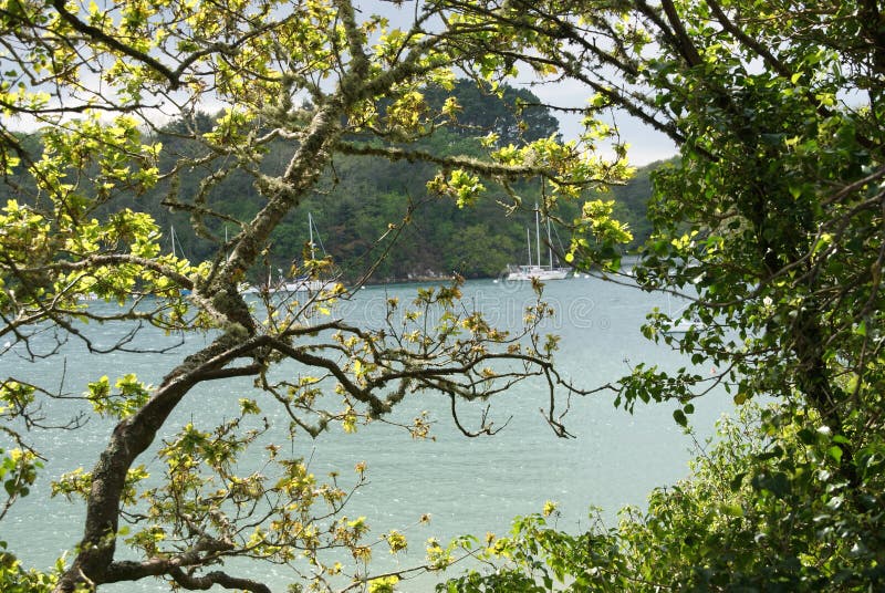 Boat tree stock image. Image of tree, france, boat, outdoort - 115618537