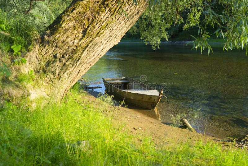 Boat and Tree stock photo. Image of transportation, green - 19856374