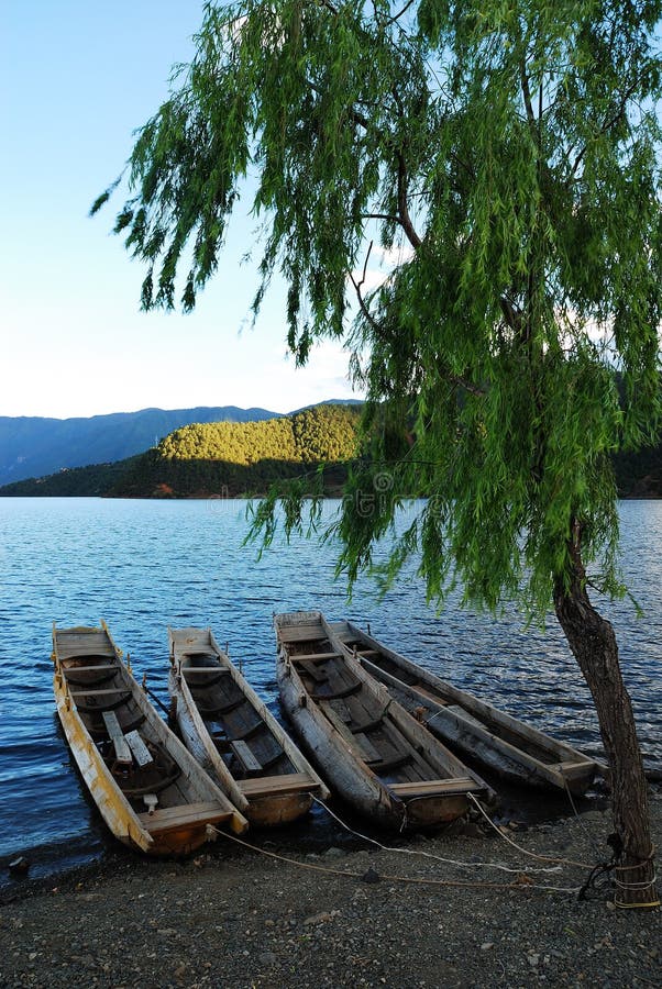 Boat and tree stock photo. Image of rever, lake, lijiang - 8501118