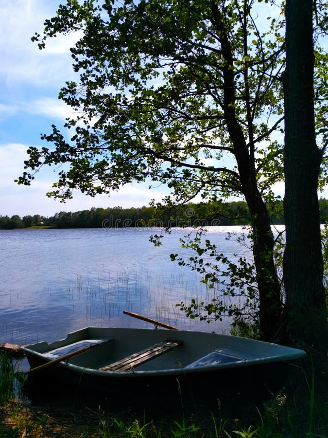 Boat by a Tree by the Lake on a Summer Day Stock Image - Image of ...