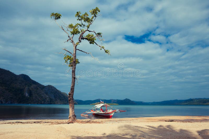 Boat by Tree on Tropical Beach Stock Image - Image of nature, tree ...
