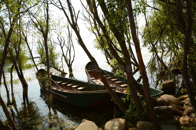 Boat trees lake stock photo. Image of roll, boat, peace - 42666310