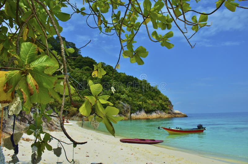 Boat and Trees stock photo. Image of coast, windy, cloudy - 72093242
