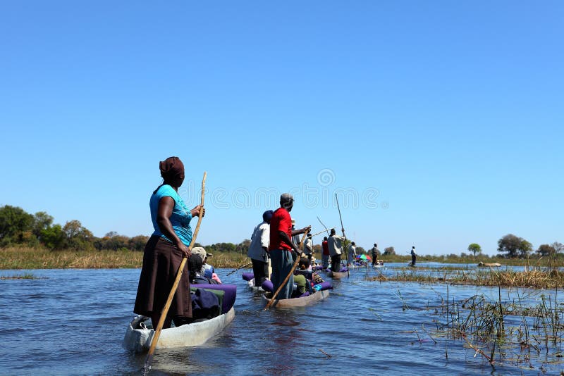 Boat trip on the Okavango editorial image. Image of namibia - 132165750