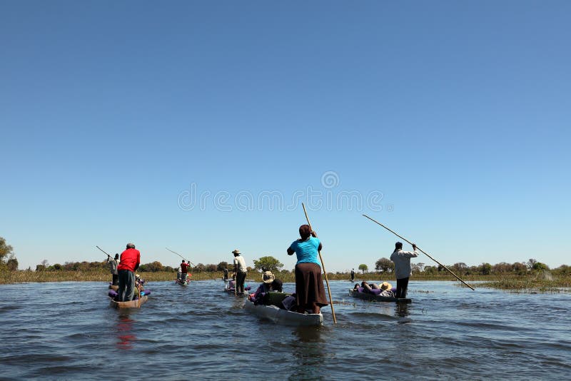 Boat trip on the Okavango editorial stock image. Image of boating ...