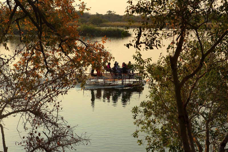 Okavango Delta Landscape, Dugout Canoe Trip, Botswana, Africa Editorial ...