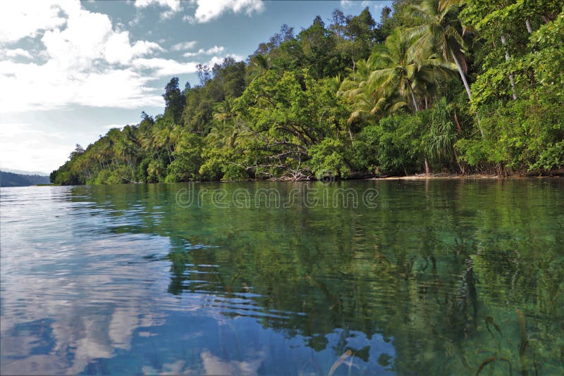 Morobe Flag Stock Photos - Free & Royalty-Free Stock Photos from Dreamstime