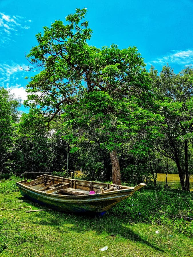 Boat without water stock image. Image of forest, vegetation - 231073351