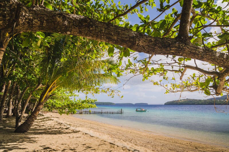 Boat at the White Sand Beaches in the Kingdom of Tonga Stock Image ...