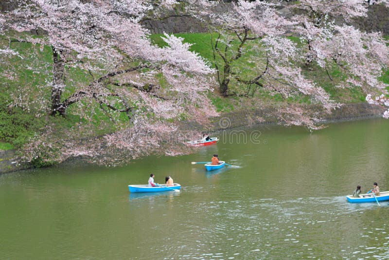 Boating during Spring Season at Tokyo Editorial Stock Image - Image of ...