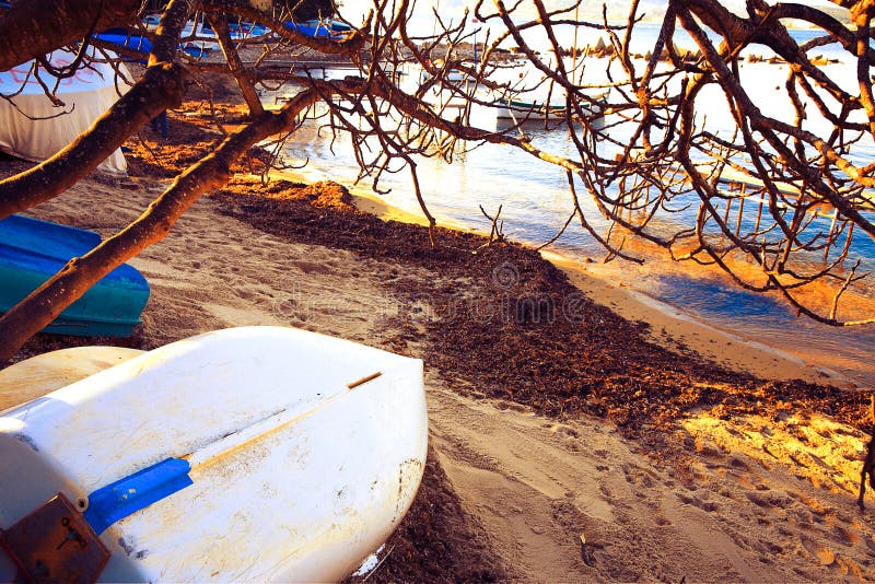 Boats beached in France stock photo. Image of profession - 1475098