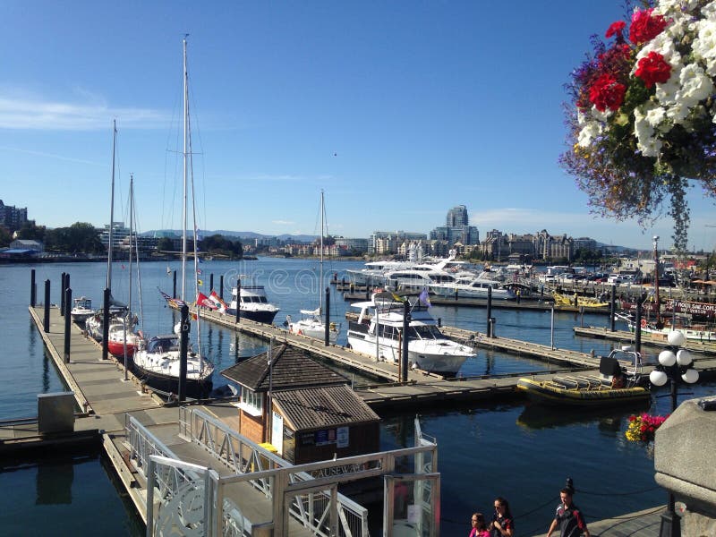 Boats in harbour editorial stock image. Image of fish - 63897209
