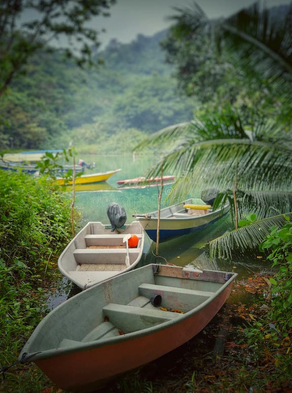 Boats stock image. Image of boats, jungle, river, lake - 96966351