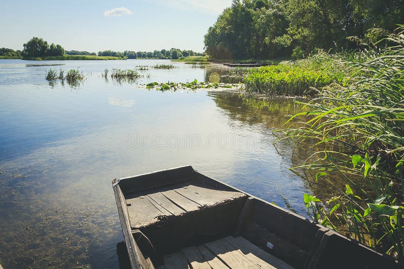 Boats at the lakeside stock photo. Image of green, harbor - 68477494