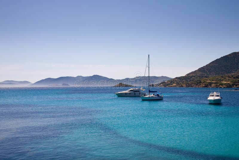 Seashell on serene beach stock photo. Image of natural - 10695800